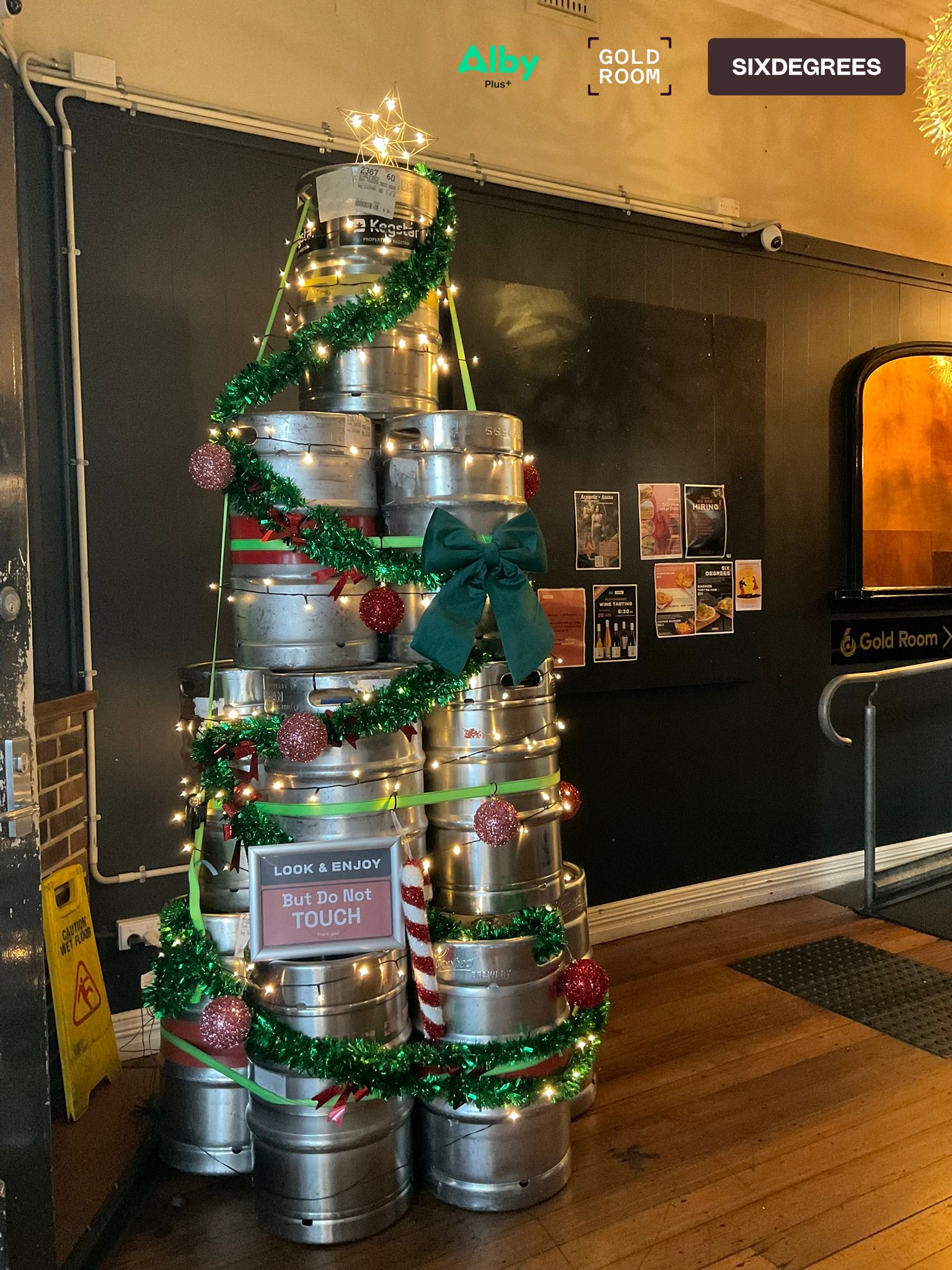 Christmas Tree Albany Has Landed for 2025 And Yes, It’s Ready for Your ...